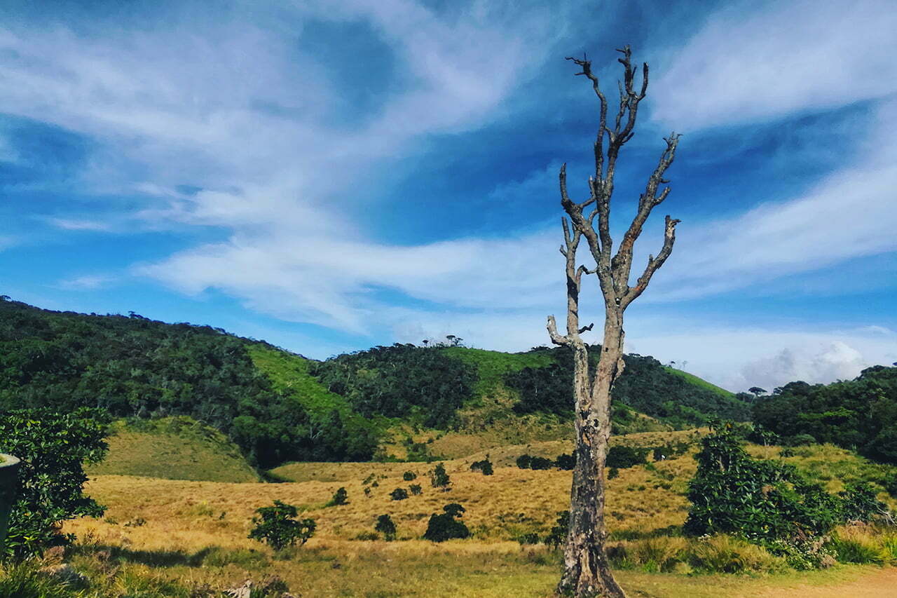 Natural UNESCO World Heritages - Total Travel Solution