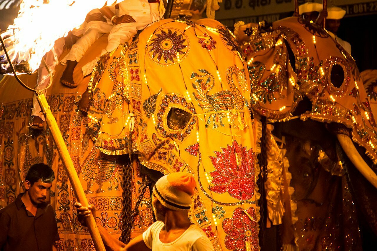 Kandy Esala Perahera from 05 to 15th August 2019 - Total Travel Solution